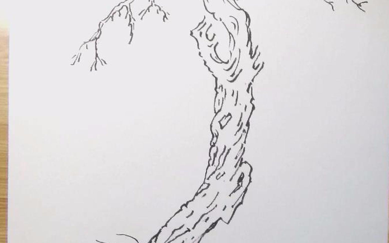 钢笔画枯树的画法,“太牛了”