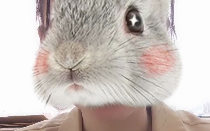 考研宝藏院校——湖北大学