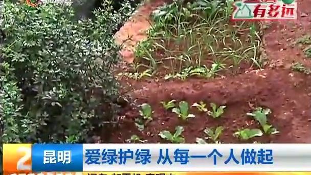 爱绿护绿 从每一个人做起