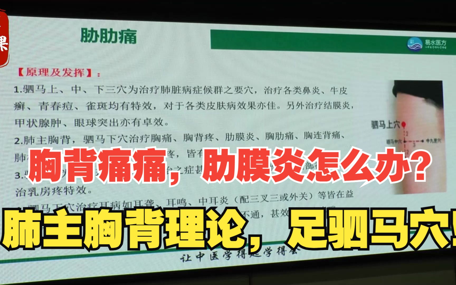 胸背痛痛,肋膜炎怎么办?根据肺主胸背理论,董氏奇穴足驷马穴!