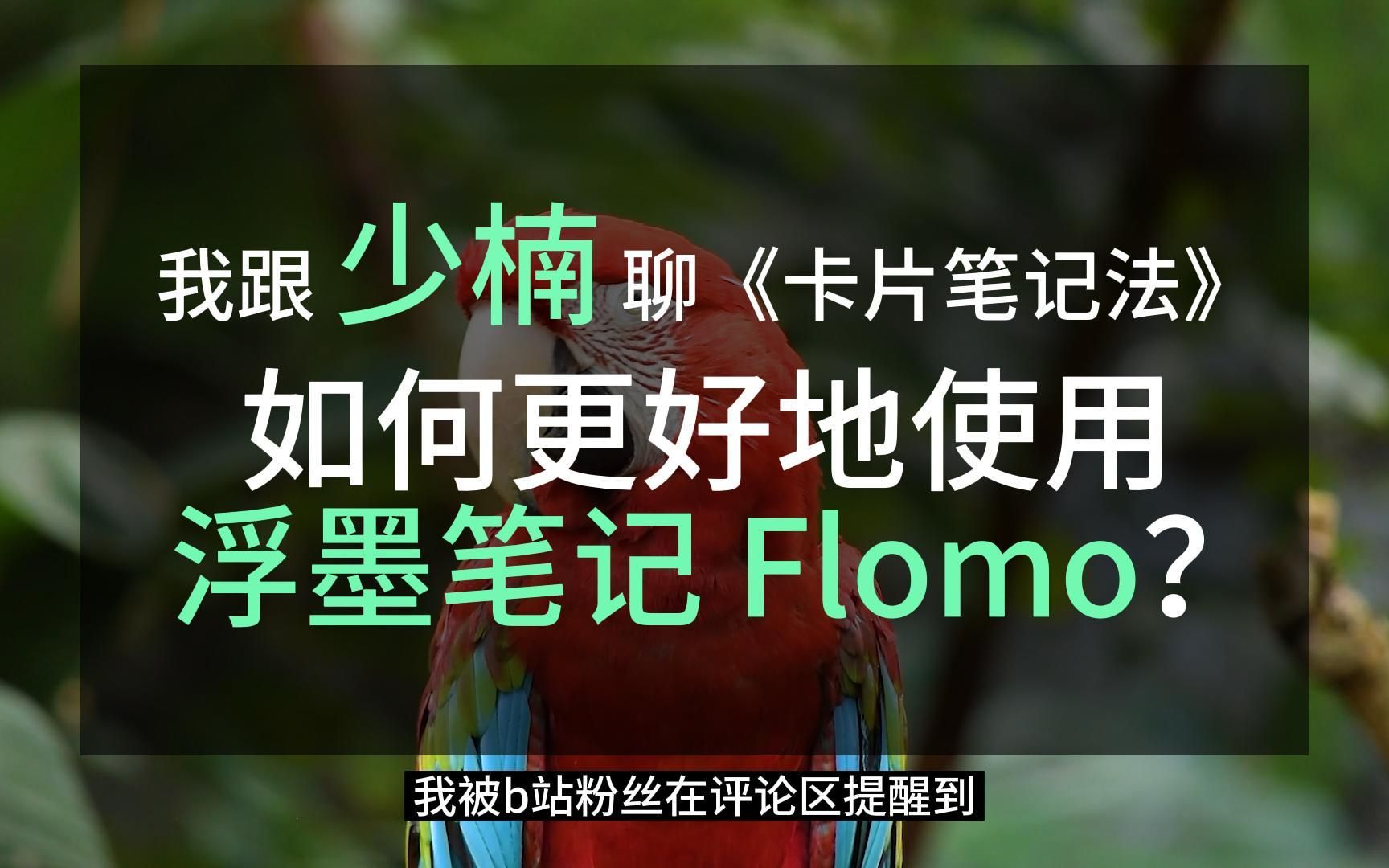 卡片笔记法降智?少楠告诉你 Flomo 如何使用最合理