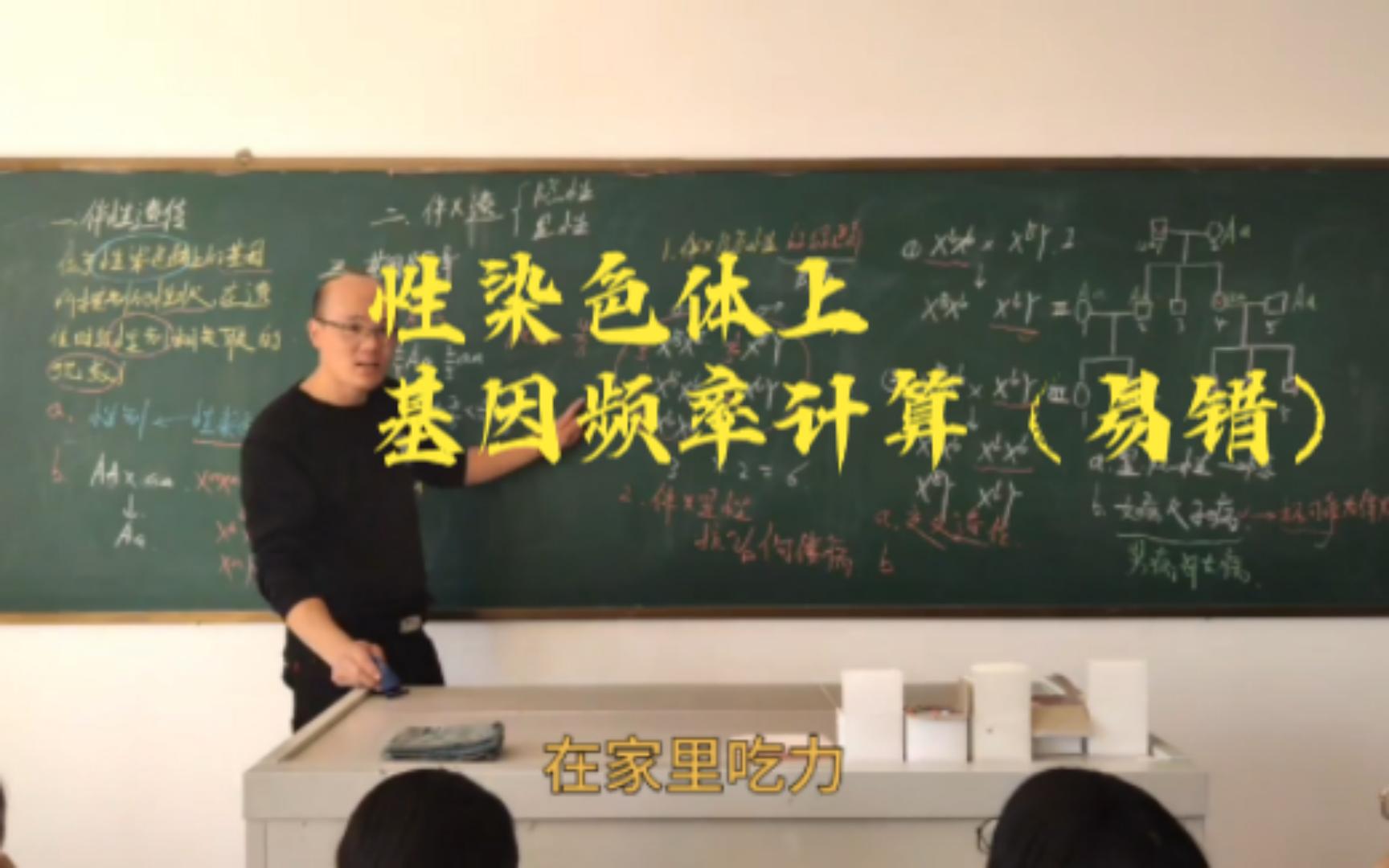 性染色体上基因频率计算(易错)