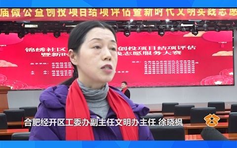 ...首届微公益创投项目结项评估暨新时代文明实践志愿服务项目大赛举行