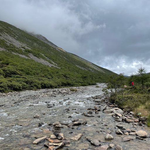 院长-恬静卡刀作者 