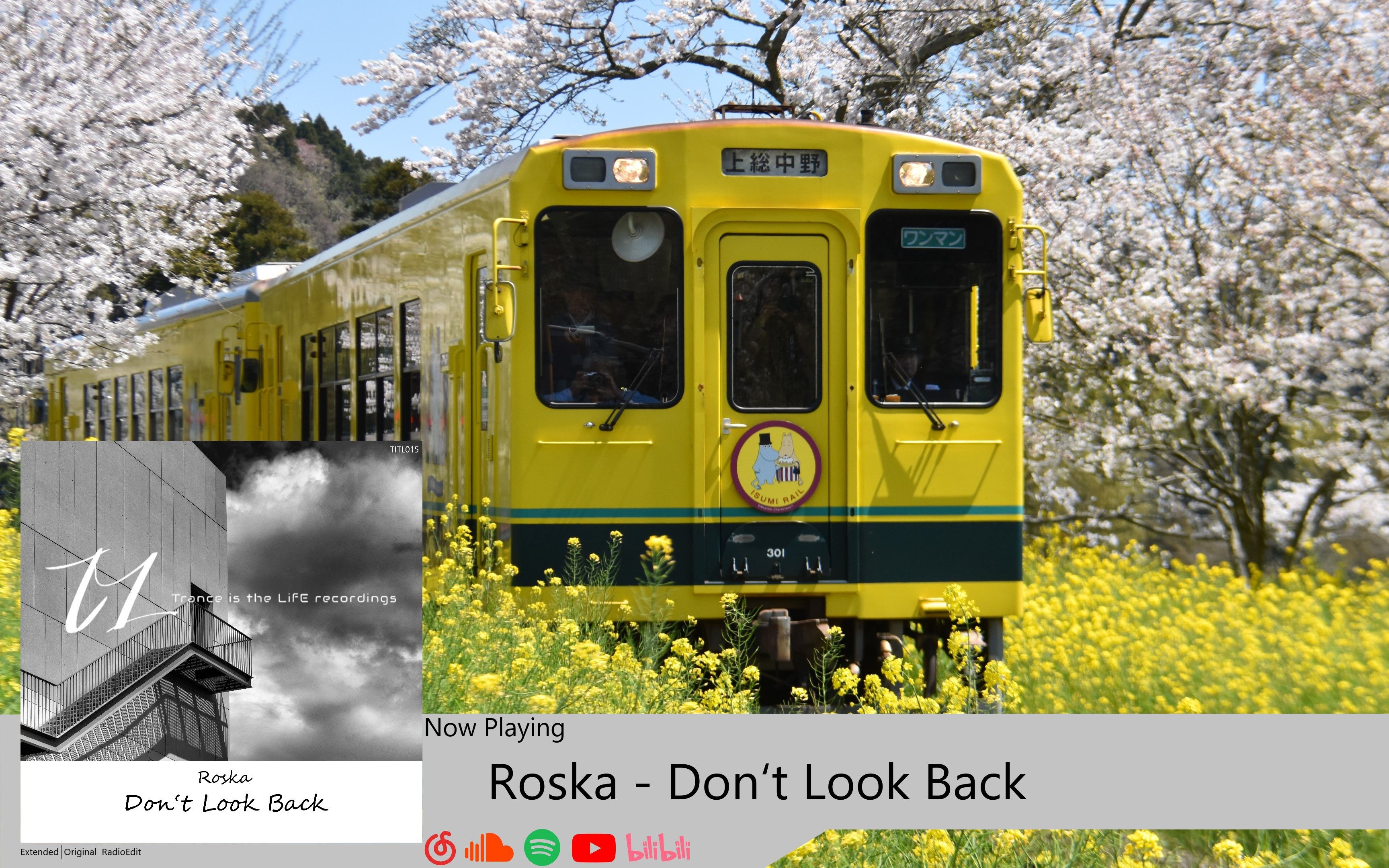 Roska - Don't Look Back (Original Mix)