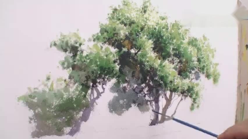 绘画视频:树的表现技法