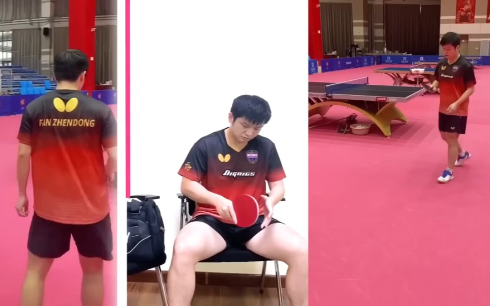 【熟肉中字】樊振东ALC底板评测 TTD评测 与葡萄牙国家队的第三...