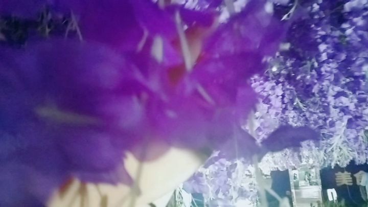 刚入驻西瓜视频的新人,希望大家能认识我们(67)夫妇