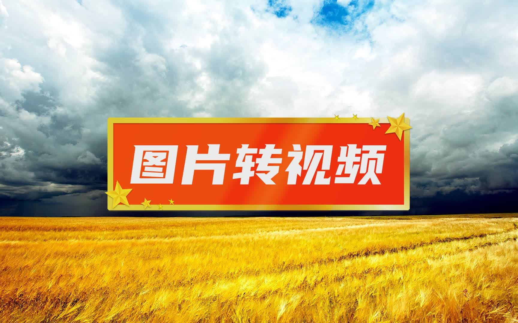 图片变视频软件,AI视频生成平台