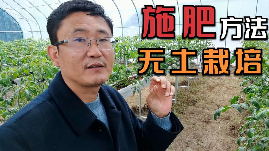 掌握好方法,无土栽培施肥很简单,不复杂