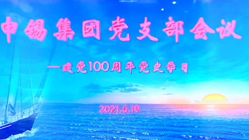 申锡集团党支部会议——建党100周年党史学习