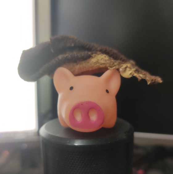 陈皮老儿 