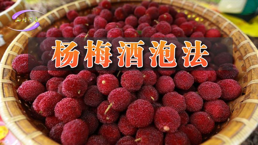 自酿果酒怎么泡 杨梅酒的泡法 制作方法步骤 自制杨梅泡酒的功效