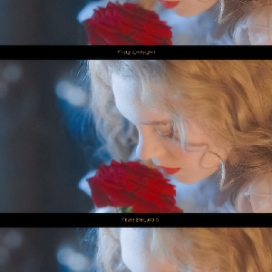 一枚硬币的典当铺 