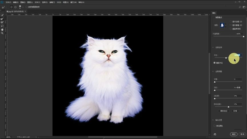 PS抠图教程抠动物毛发教程抠图小猫教程你会吗