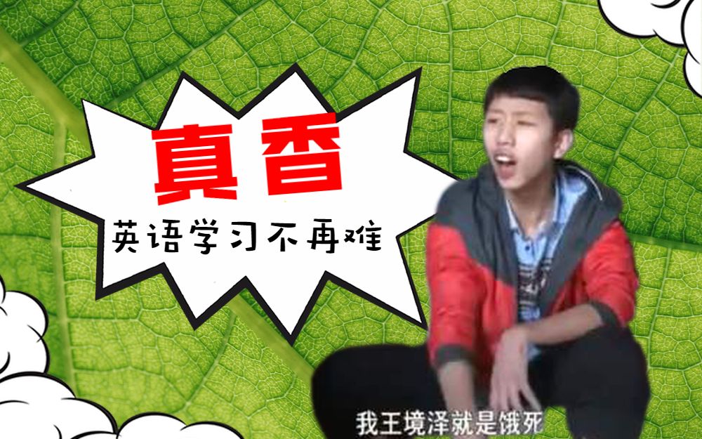 【相见恨晚】快速掌握英语学习方法课程 让你少走弯路!事半功倍!