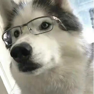 林华之声 