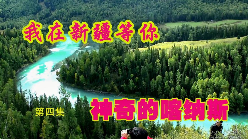 喀纳斯适宜于寒温带林木的生长,是我国寒温带植物种类最多的地区