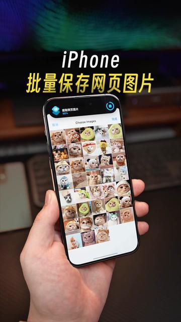 .b>保存网页图片