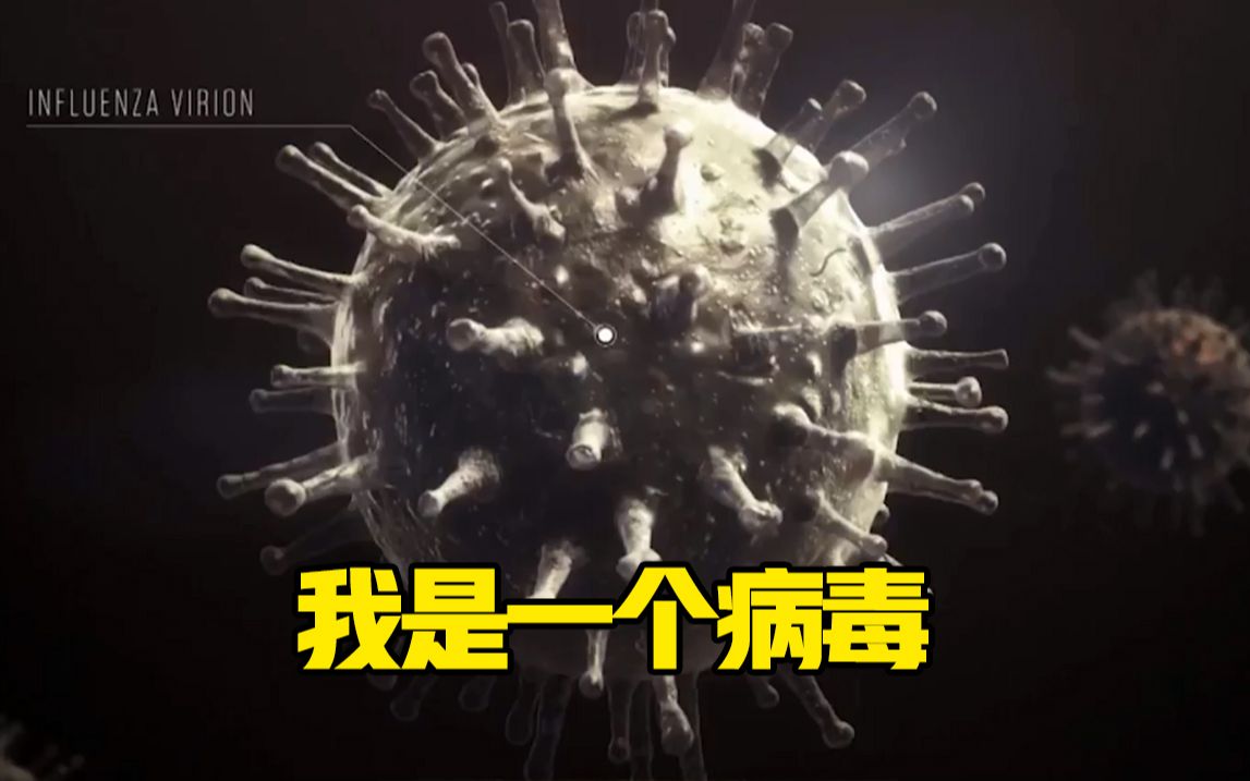 病毒与免疫系统的战争,我以为看了一场宇宙大战