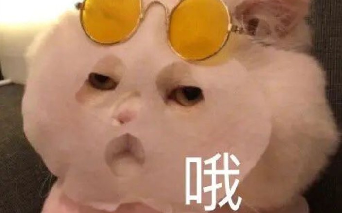 成长记录手册(1)