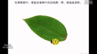 周长的认识1