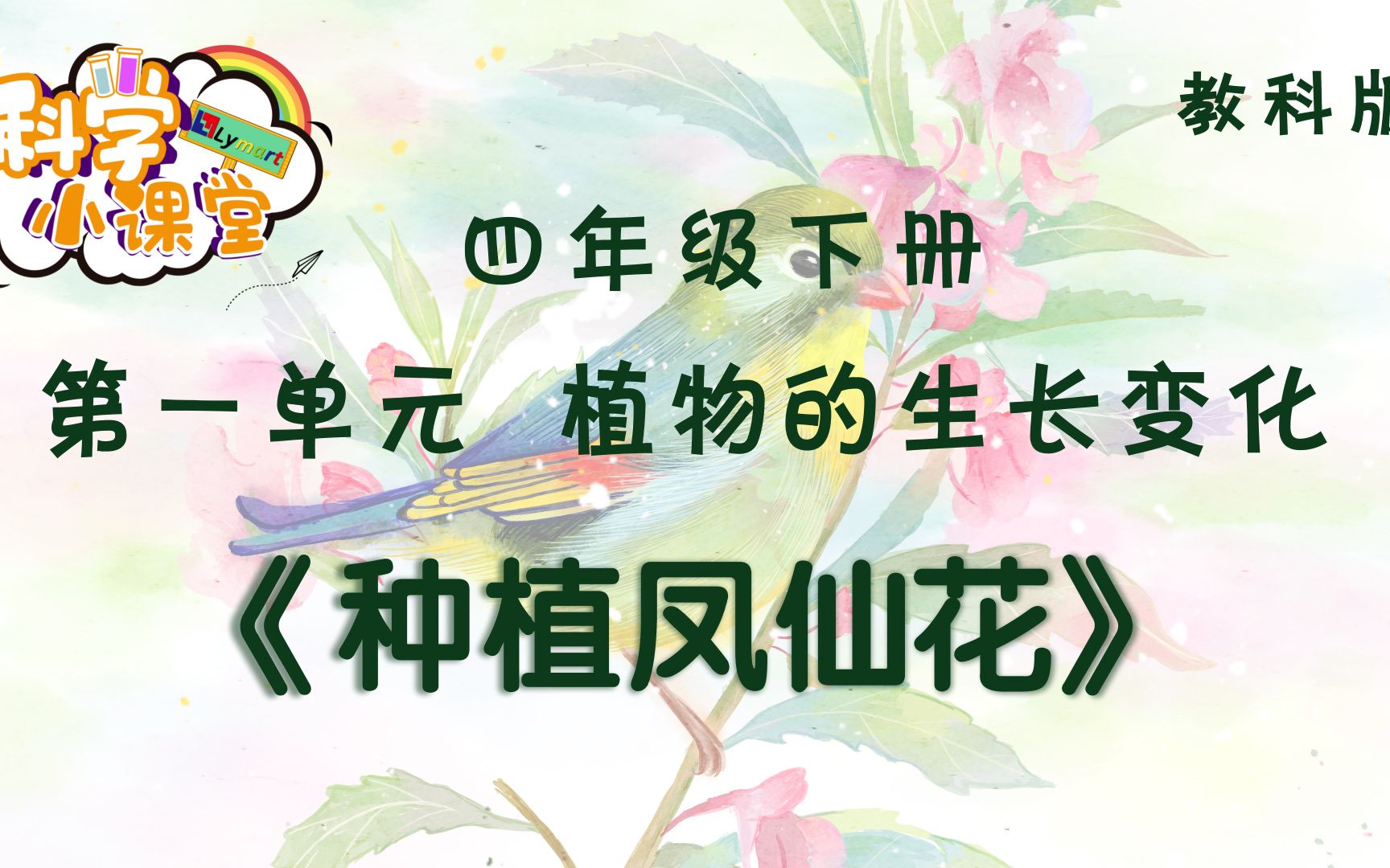 四年级下册 第一单元 第二课 种植凤仙花