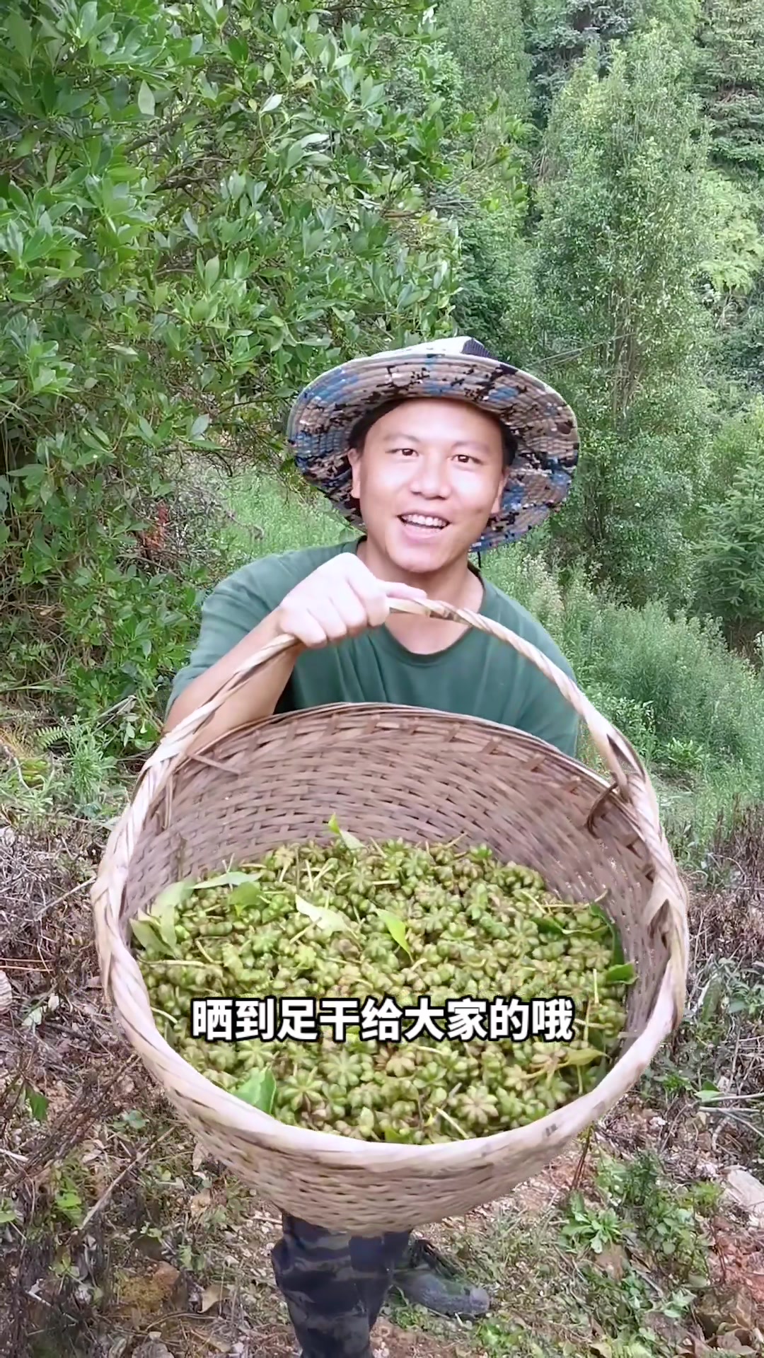 不打硫不熏硫足干的大红八角#八角 #大料 #原产地 #优质农产品 #大红...