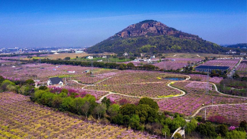 “十里桃花 甜美乡村 2021阳山文旅推介会”举行