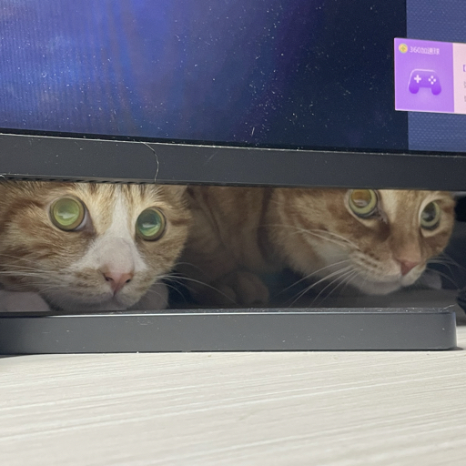 Cool喵社区 
