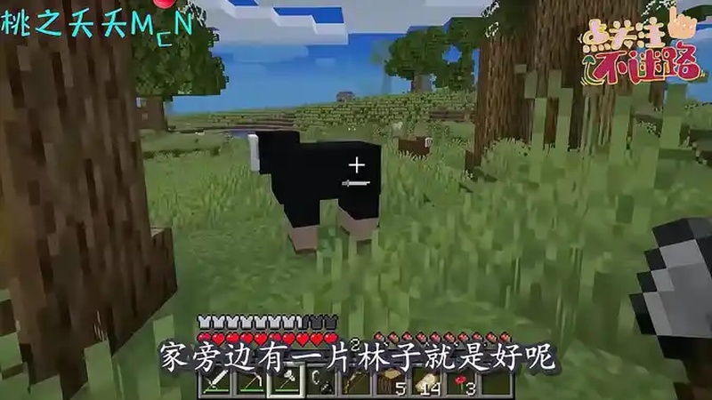 MC我的世界:村子里的商店开业啦,一组绿宝石能买什么