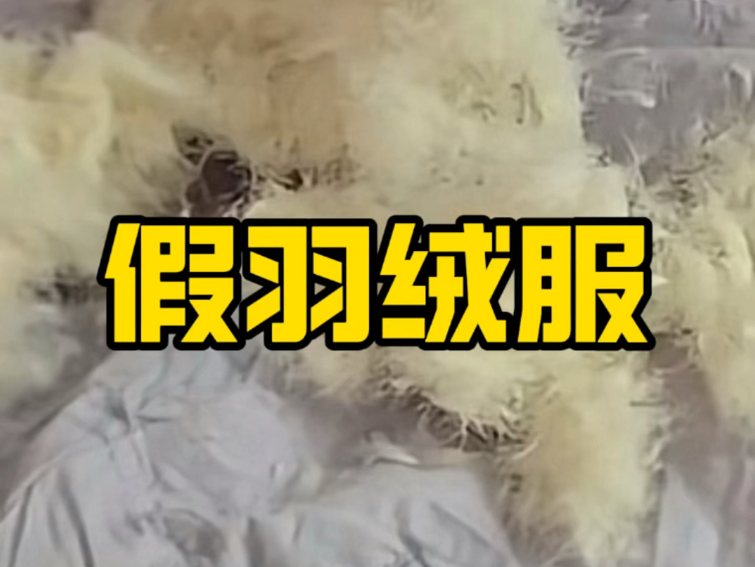 怎么分辨真假羽绒服?