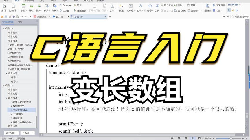 【C语言入门】项目11-4-项目精讲-变长数组