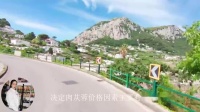 淡肉苁蓉的功效与作用,肉苁蓉有什么功效