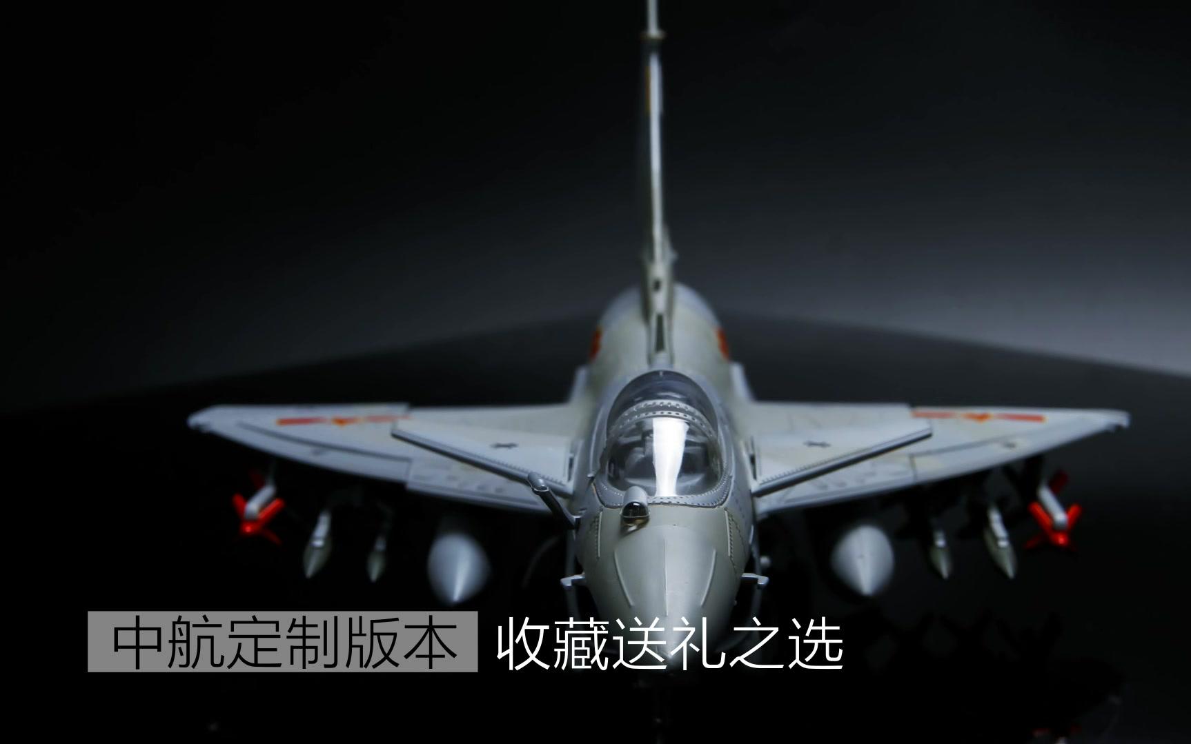 1:48歼10B战斗机模型