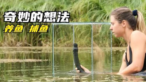 不打空枪,精准可视化捕鱼技巧!