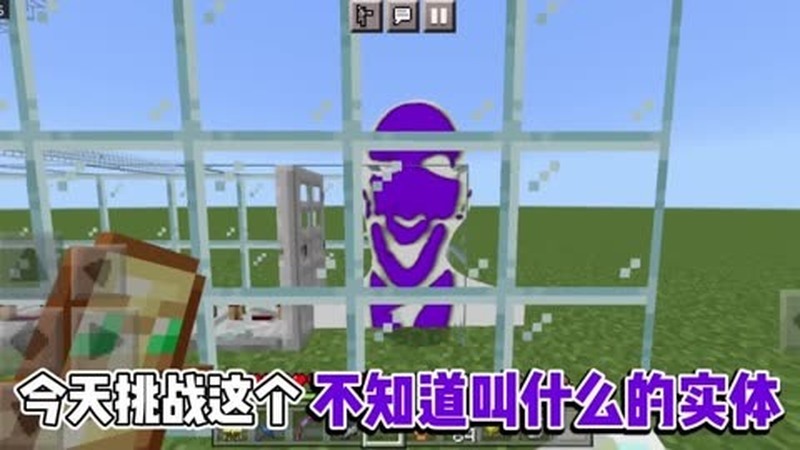 我的世界挑战紫色实体求其真实名称
