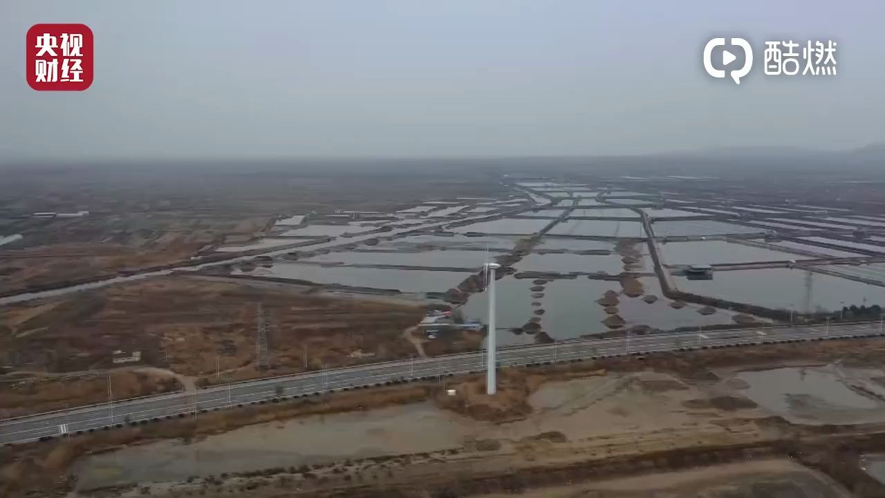 山东即墨 养海参整箱放敌敌畏 南方海参冒充北方
