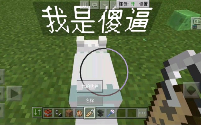 我的世界:我的伙伴竟然可以用命名牌改名还可以杀掉?