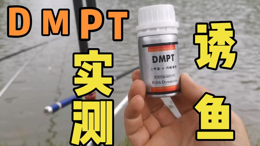 小伙实测DMPT诱鱼剂,结果让人意想不到,请大家看到最后