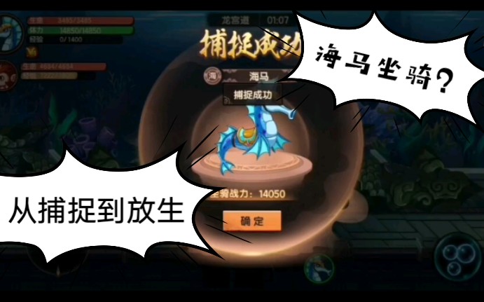 《造梦无双》从捕捉到放生,你值得拥有!