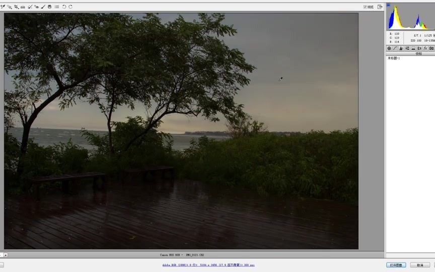 camera Raw工具的使用第二讲