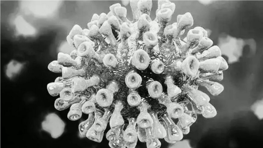 2019-NCOV/新型冠状病毒 我想和你谈谈