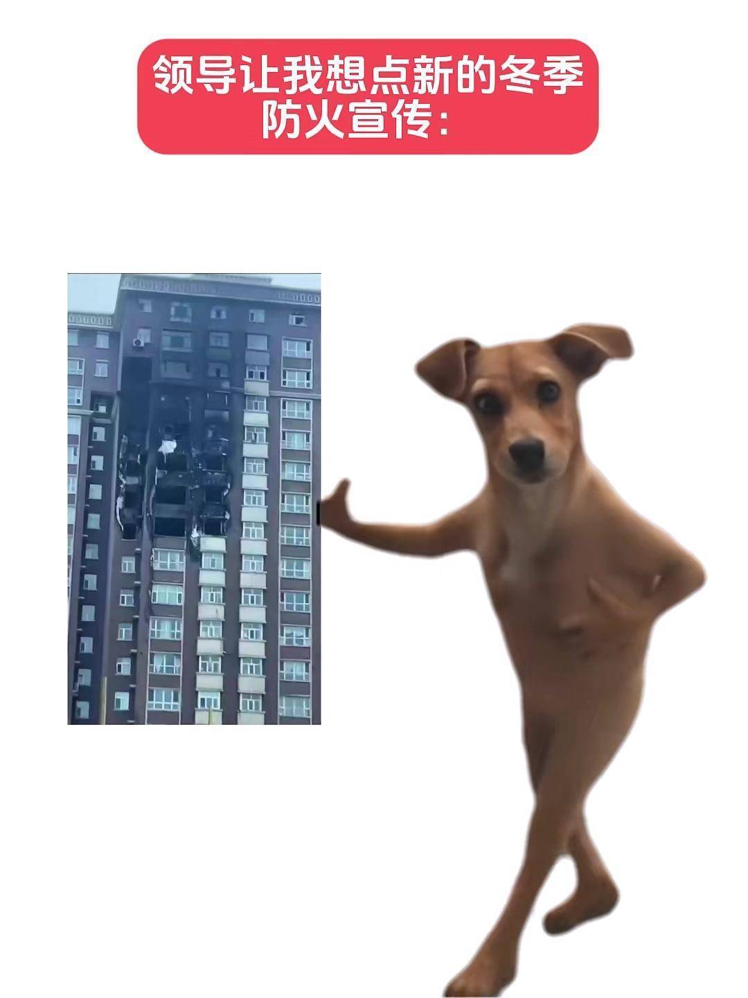 注意用火用电安全#消防员#安全#新花样#科普#蓝朋友#119