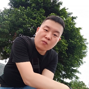 商业进化原磊 