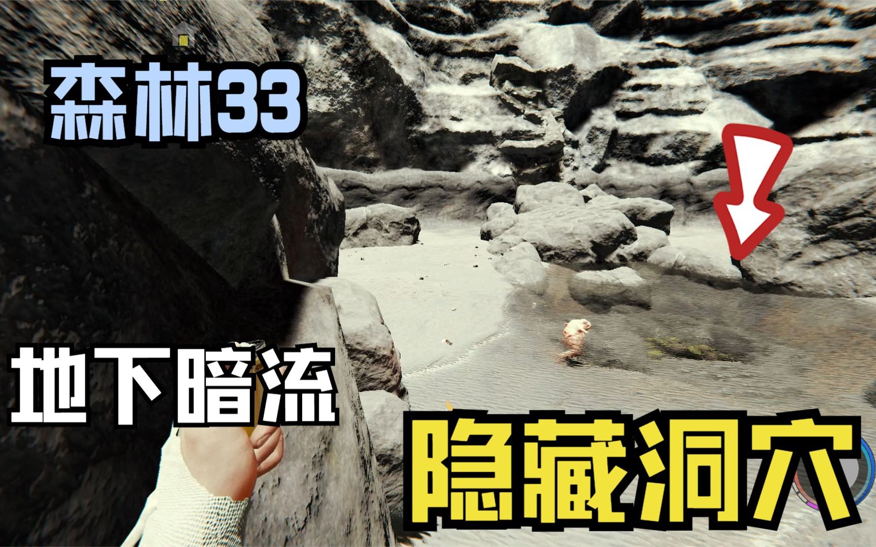 森林33:在天坑底部的水坑中发现一条隐藏的洞穴,通往何方呢?
