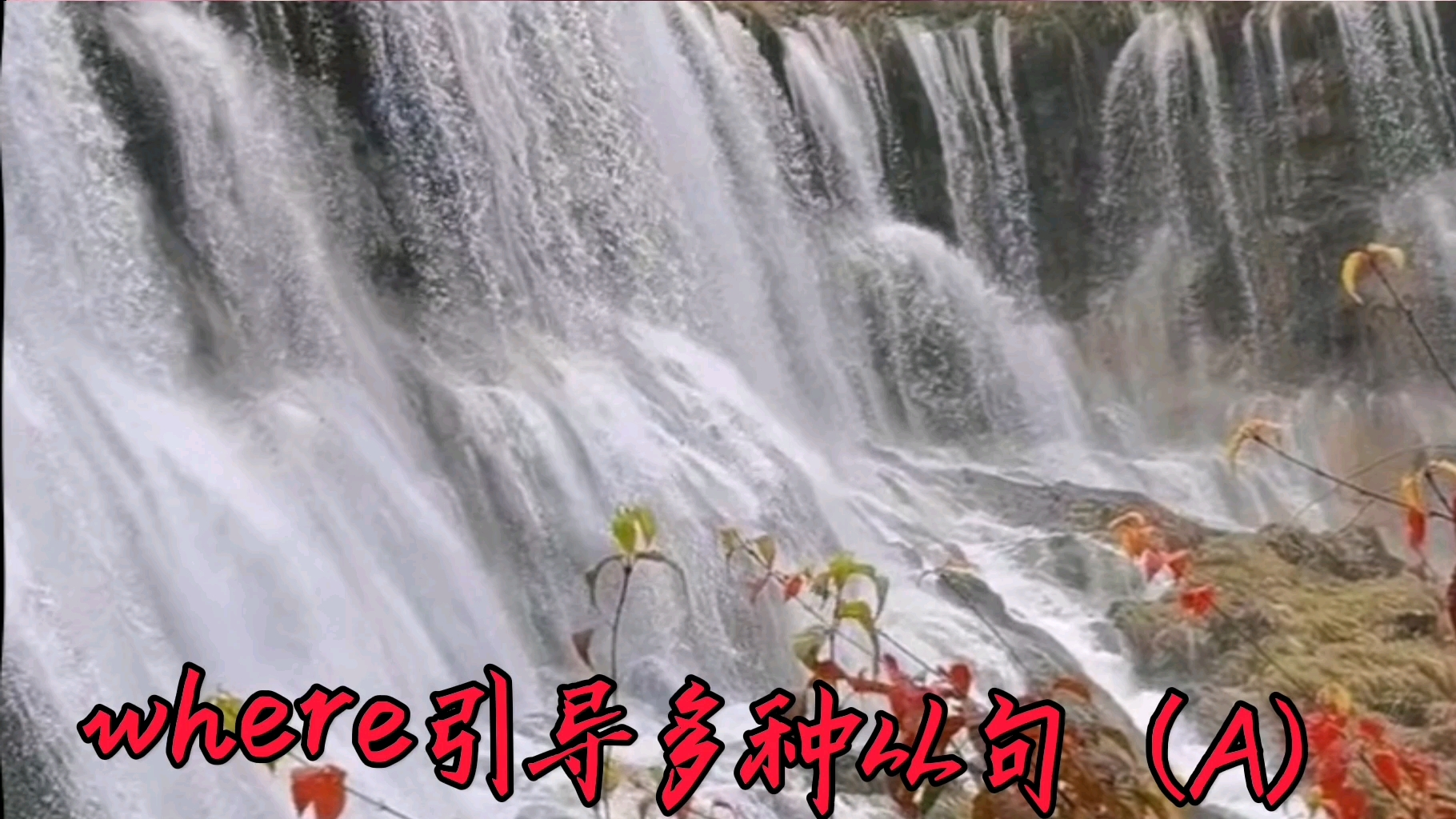where引导多种从句(A)