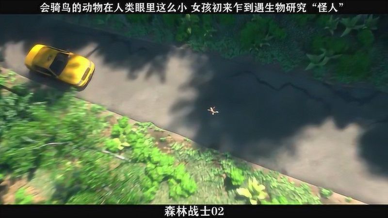 森林战士02,会骑鸟的动物在人类眼里这么小女孩初来乍到遇生物研究"...