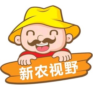 心战