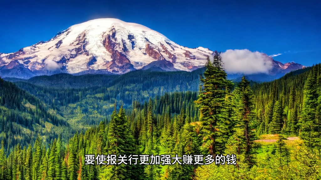 #报关行都这么卷了,怎么样才能使报关行更加强大赚更多的钱才能更好...